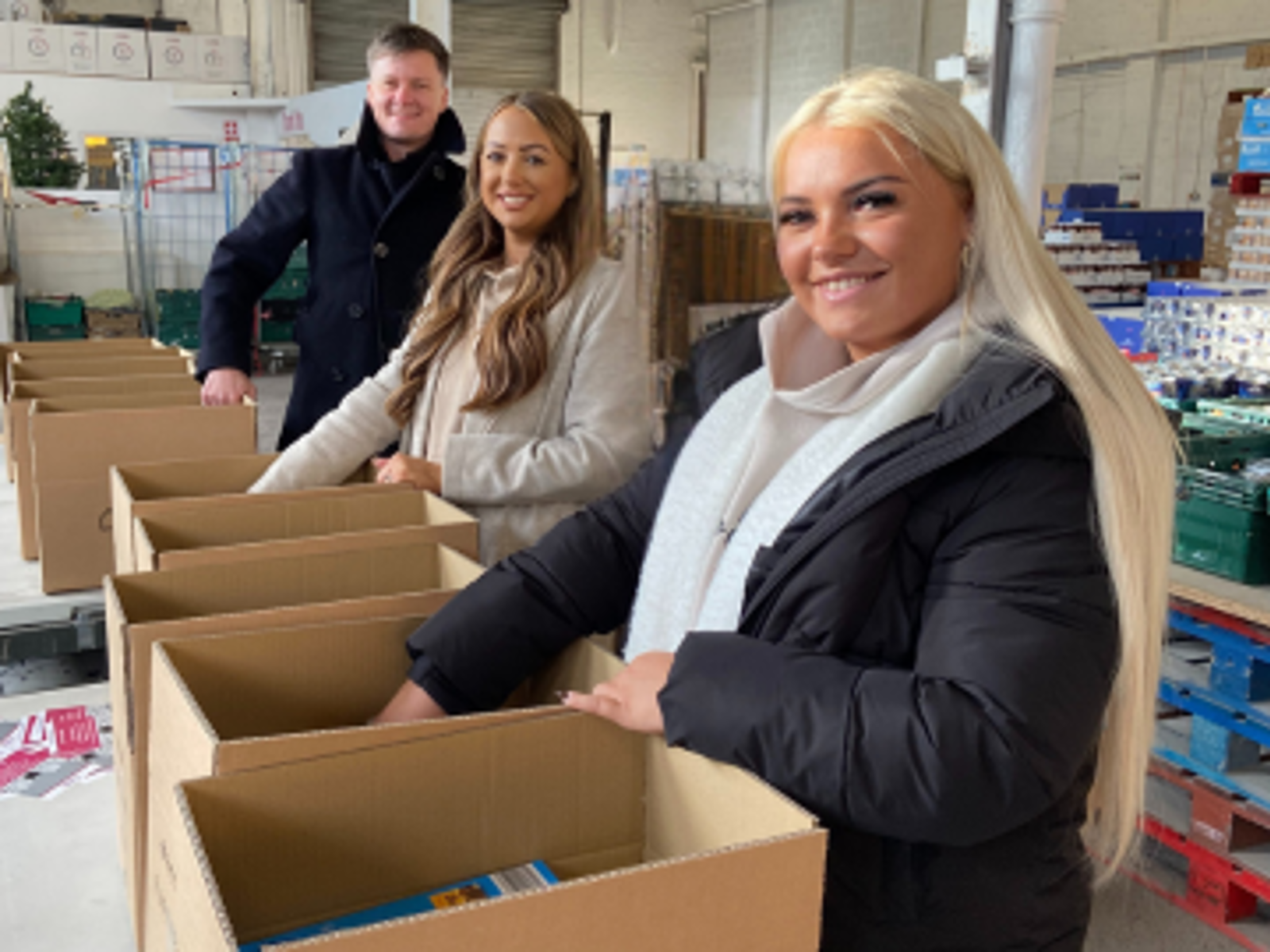 Professional Services | NEPO